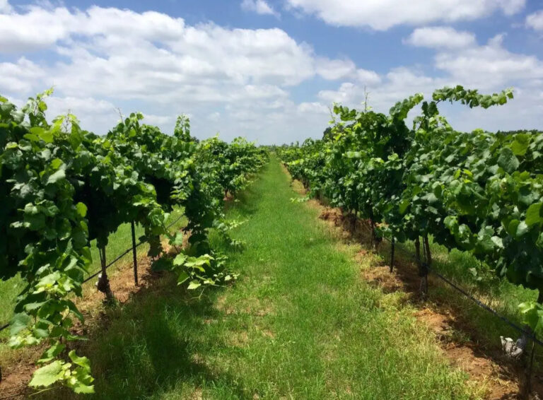 One Tank Getaways: Mason, Texas